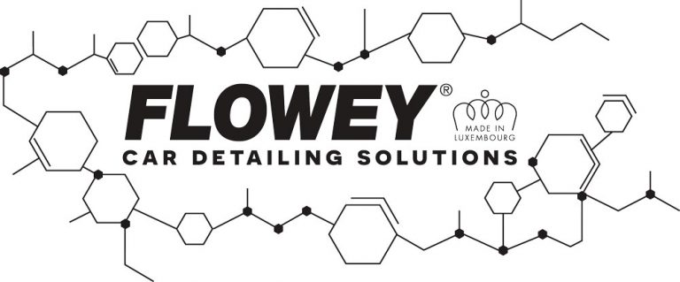 Logo | FLOWEY